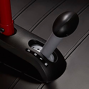 Radio Flyer Ultimate 24 Volt Electric Go-Kart for Kids Ages 3-8, 2-Seater, Red