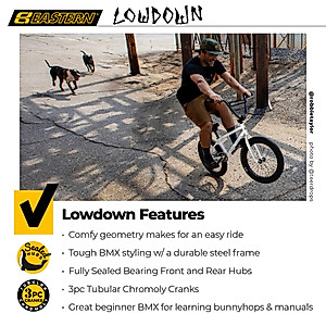 Eastern Bikes Eastern BMX Bikes - Lowdown Model 20 Inch Bike. Lightweight Freestyle Bike Designed by Professional BMX Riders at (White)
