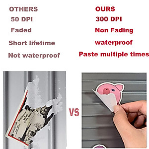 The Squirrel Cute Cartoon Animal Stickers for Laptop(50 Pcs),Gift for Kids Teens Adults Girl,Funny Squirrel Waterproof Stickers for Water Bottle,Vinyl Stickers for Scrapbook,Journal,Dairy