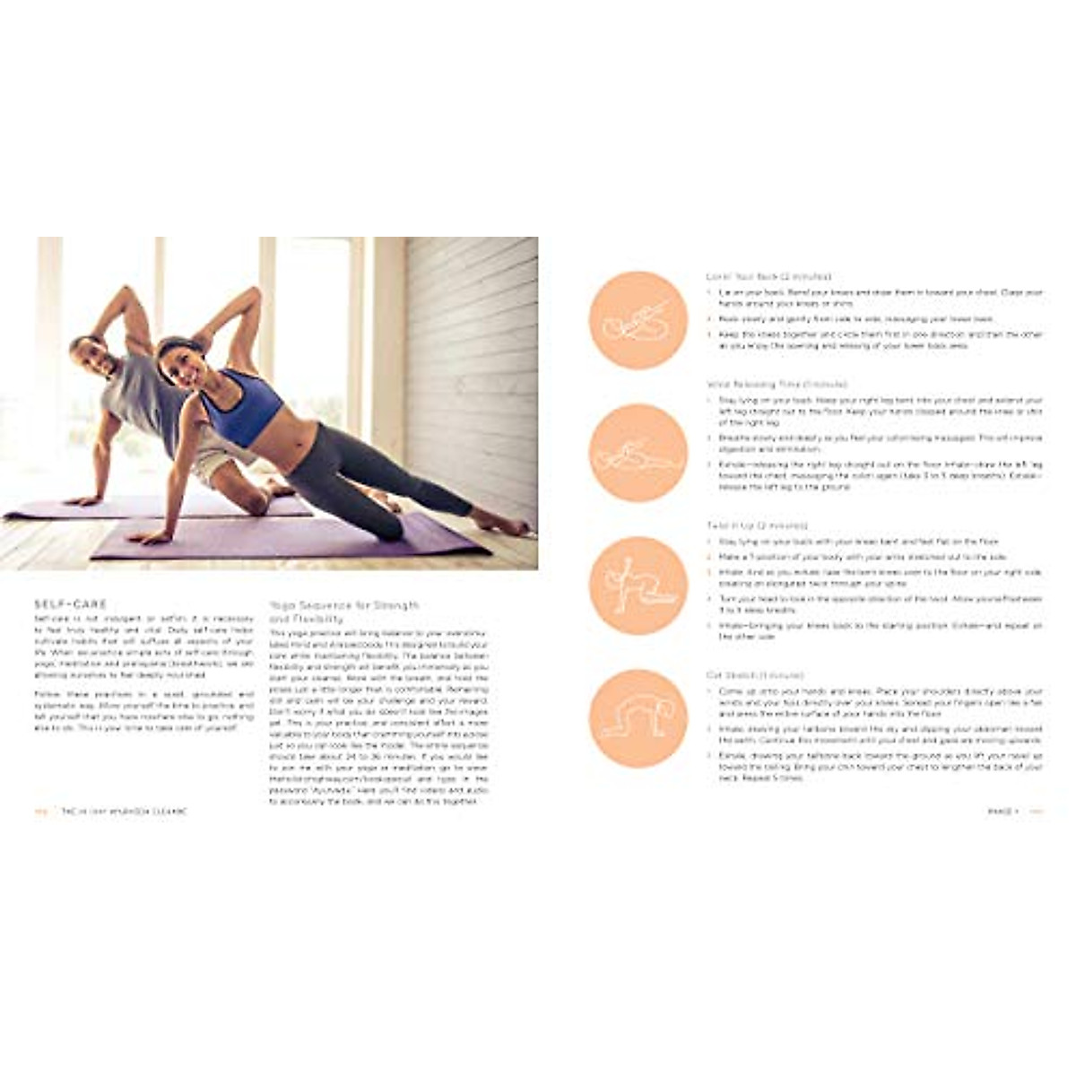 The 25-Day Ayurveda Cleanse: A Holistic Wellness Plan Using Ayurvedic Practices to Reset Your Health Naturally