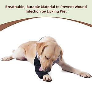 Dog Recovery Sleeve, Dog Recovery Suit, Abrasion Resistant Dog Recovery Sleeve Front Leg, Washable 3mm Thick and Breathable, Pet Wounds Prevent Licking, Bite, Being Wet (Small, Single Leg)