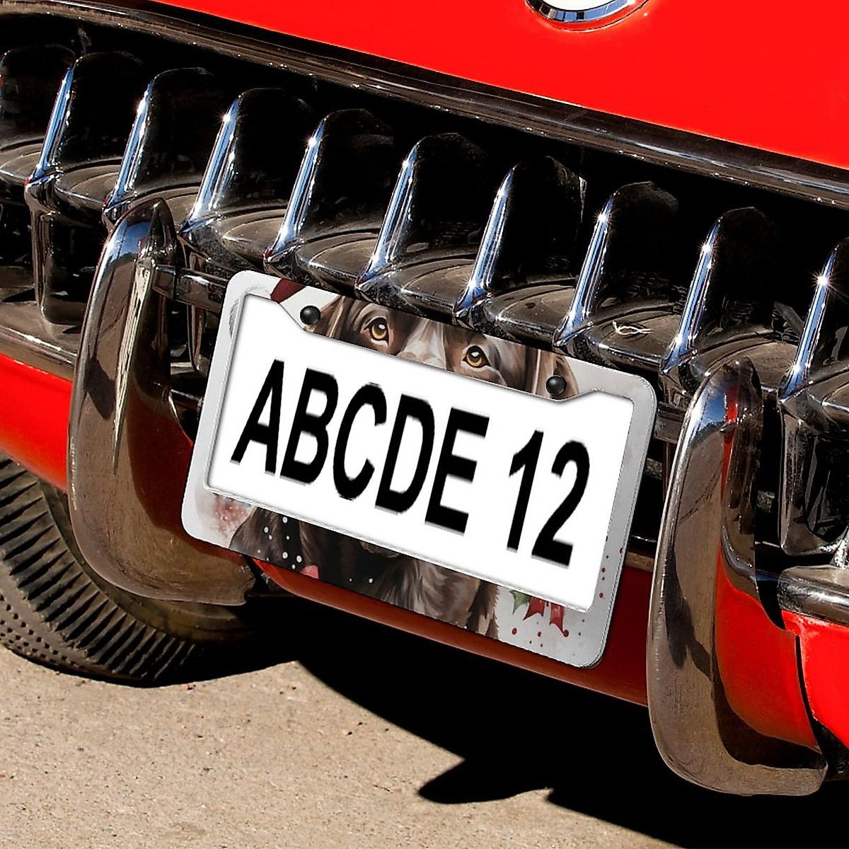 Chocolate Labrador Santa Hat Christmas License Plate Cover 2 Pack Xmas Lovely Dogs Car Accessories for US Standard Vehicles for Women Men 2 Round Holes Aluminum License Plate Frames