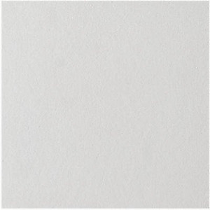 CEILING TILE 1X1' by USG MfrPartNo 824290