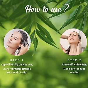 Biotique Margosa Anti-Dandruff Shampoo & Conditioner 190Ml/ 6.42 Fl.Oz I Leaves Hair Fresh, Lustrous And Full Of Natural Body