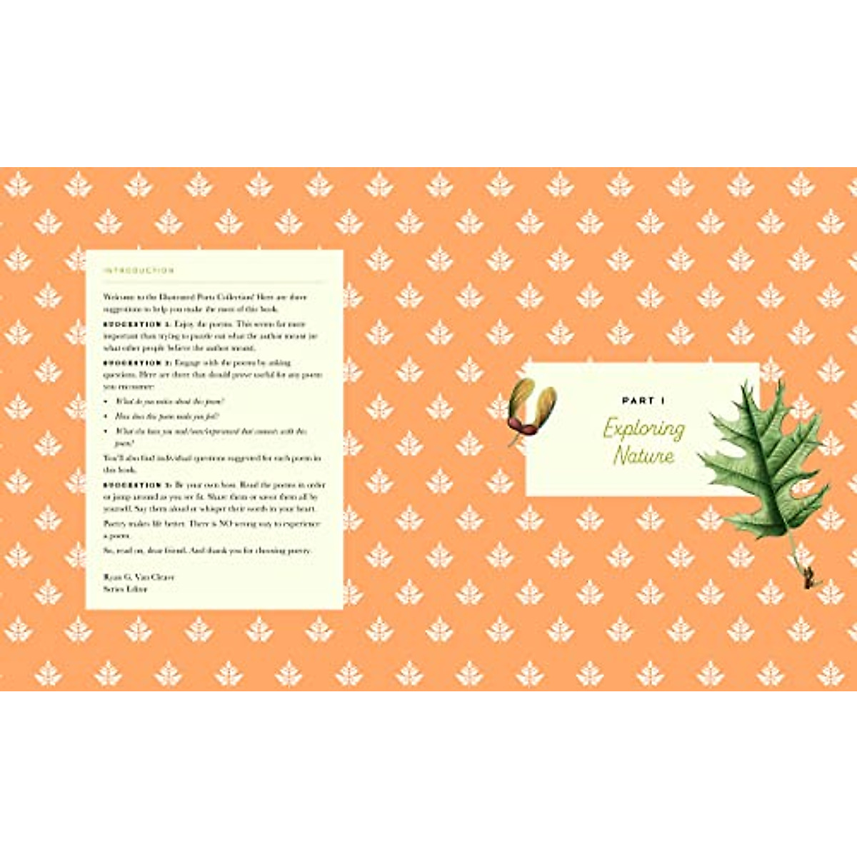 The Illustrated Robert Frost: 25 Essential Poems (The Illustrated Poets Collection, 2)