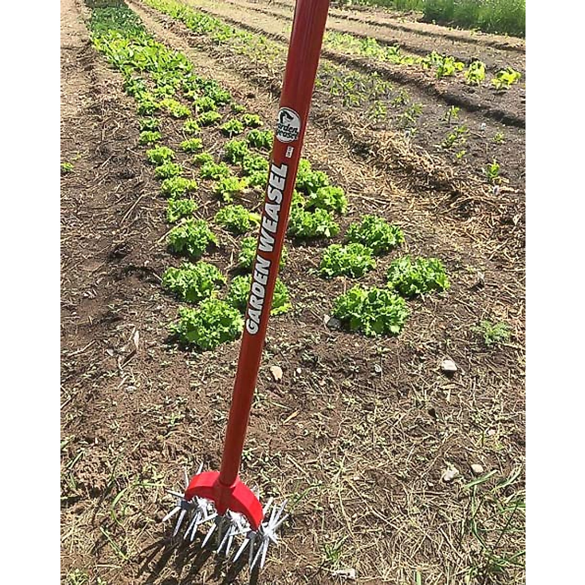 Garden Weasel Cultivator and Hand Tiller 90206 - Garden Tiller with Detachable Tines - Manual Hand Ground Tiller - Weather and Rust Resistant - Carbon Steel