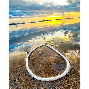 BlueRica Puka Shell Beads Necklace (18")