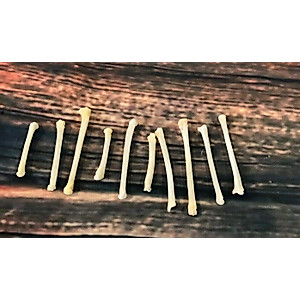 10 Real Red Fox Paw Bone Mountain Man Craft Supply Jewelry Earring Gothic Claws
