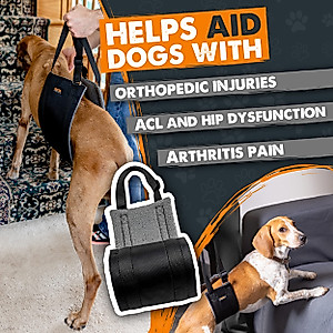 Mighty Paw Dog Lift Harness - 0-20 lbs Dog Hip and Hind Leg Support Sling - Comfortable Assistance for Elderly or Injured Dogs with Hip and ACL Brace - Back Support Harness Carrying Sling - Small