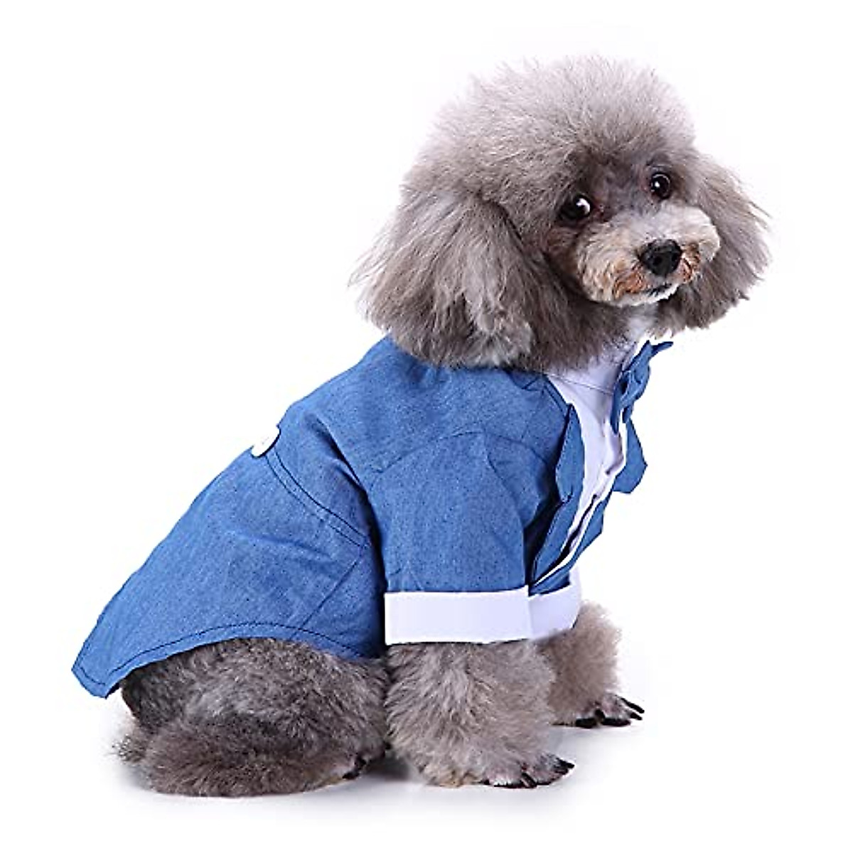 Dog Blue Tuxedo, Dog Formal Clothes, Puppy Wedding Tux, Small Dog Suit and Tie, Business Suit for Dog Blue Large