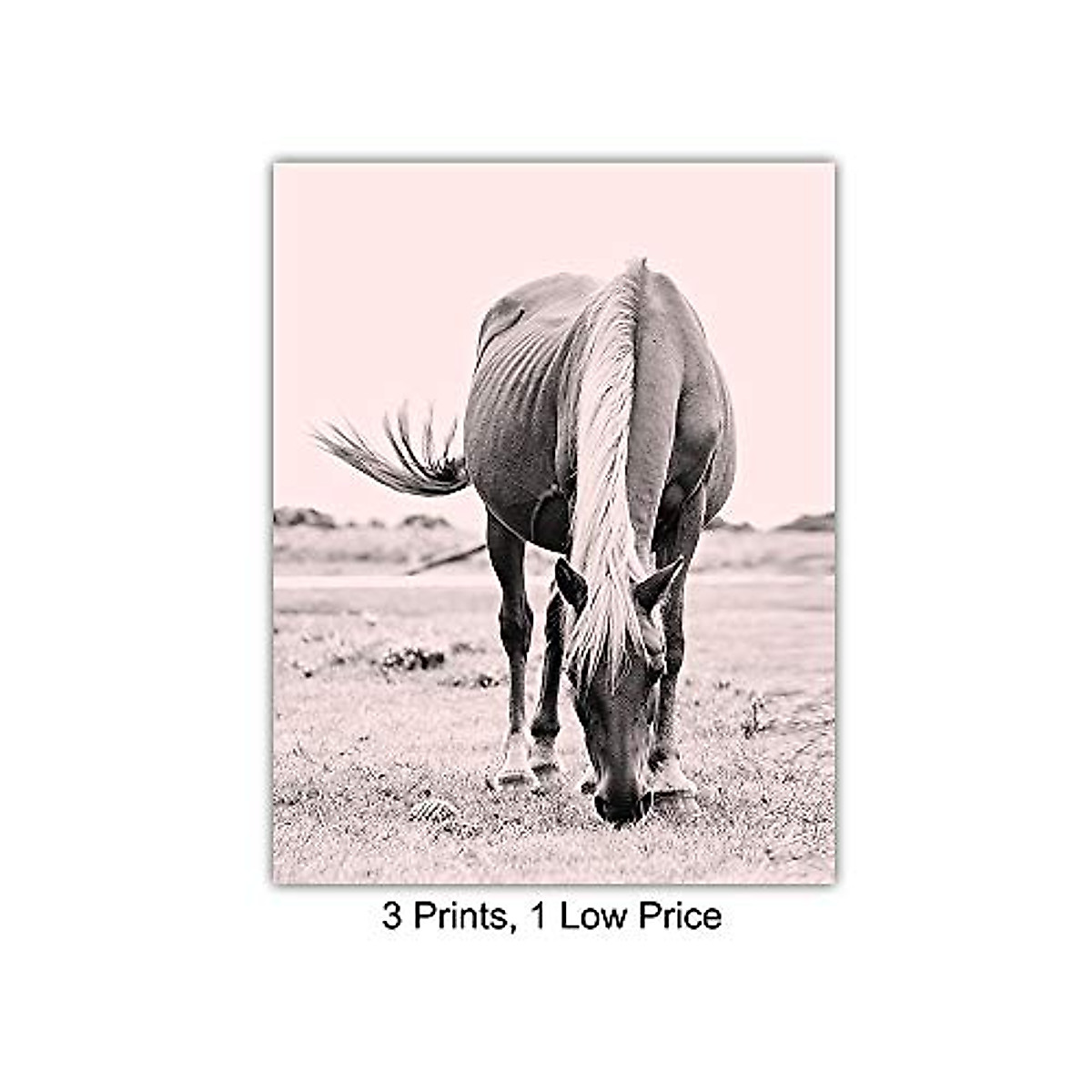 Horse Wall Art - Farmhouse Barn Wall Decor for Girls Bedroom, Office, Living Room - Country Western Boho Shabby Chic Decorations - Gift for Equestrian Women - Pink Pony Poster Set