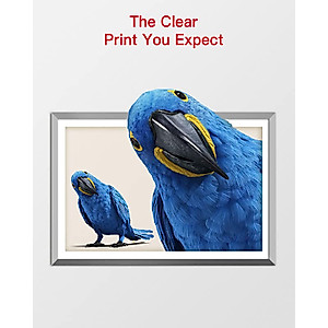 GPC Image Compatible PGI-270XL CLI-271XL Replacement for Canon Ink Cartridges 270 and 271 Combo Ink to use with PIXMA MG7720 TS9020 TS6020 MG6821 Tray(PGBK Black Cyan Magenta Yellow, 6 Pack)