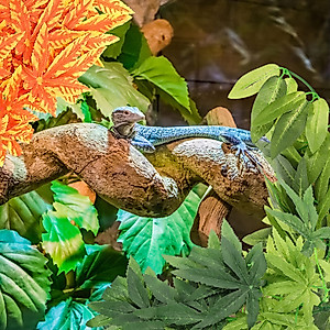 POPETPOP 3pcs Climbing Pet Box Rattan Suction Cup Artificial Plants Plant Ornament for Reptile Plants for Reptile Tank Reptile Fake Leaves Reptile Fake Plant Fake Plant Decor Reptile Plants