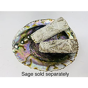 Bholi Sage Plus Sage Smudge Kit Abalone Shell Bowl 6-7 Inches Used for Burning Sage, Home Decor or Accent Piece