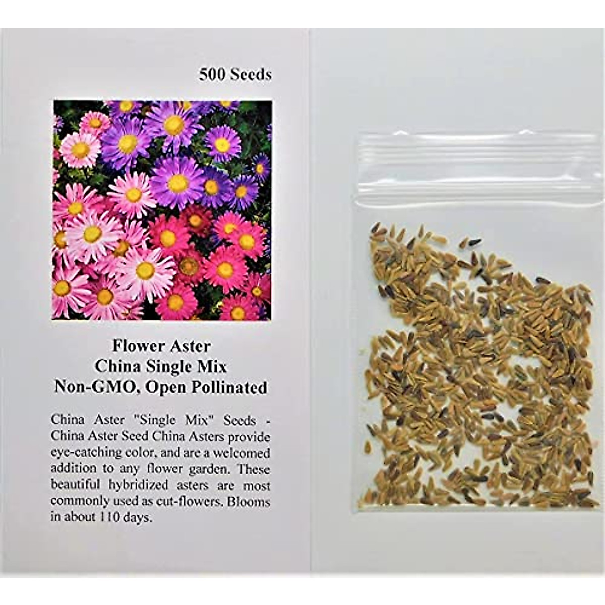 David's Garden Seeds Flower Aster China Single Mix 9931 (Mulit) 200 Non-GMO, Heirloom Seeds