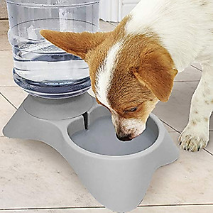 Animal Planet Dog Gravity Feeder - Water Bowl Dispenser : 50 Oz Grey Automatic Pet Feeding for Dogs & Cats, No Spilling Watering Supplies