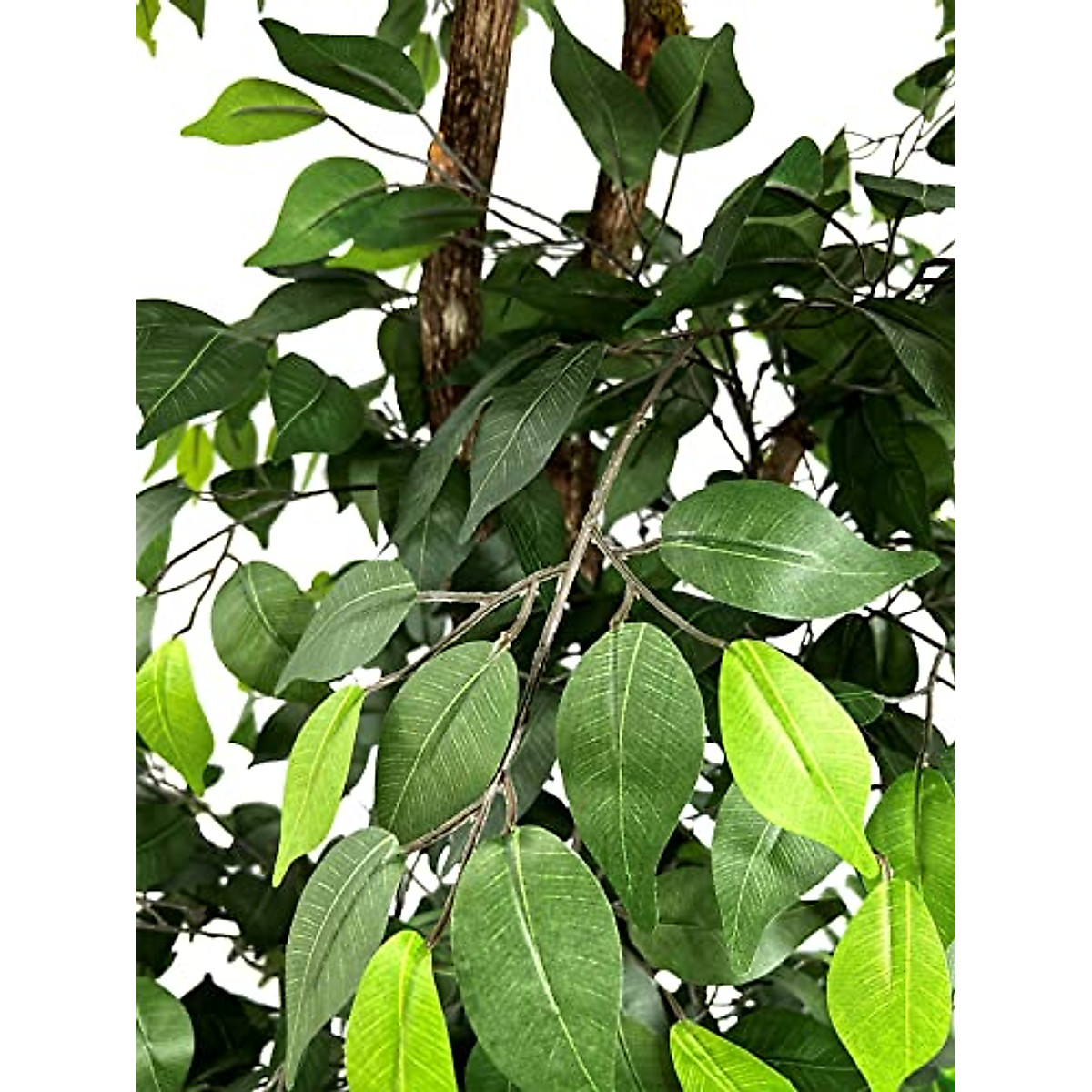 Hand-Made 6.5' Ficus Artificial Tree with Ethically Sourced Real Wood Trunks | Green | Cypress & Alabaster