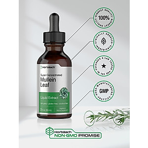 Horbäach Mullein Leaf Tincture Drops | 2 fl oz | Alcohol Free Liquid Extract | Vegetarian, Non-GMO & Gluten Free Herbal Supplement