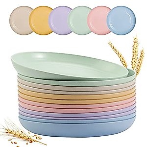 SGAOFIEE 12 PACK 9 Inch Lightweight Wheat Straw Plates, Unbreakable Deep Dinner Plates, Plastic Plates Reusable, Assorted Colors Dinnerware Sets, Microwave & Dishwasher Safe