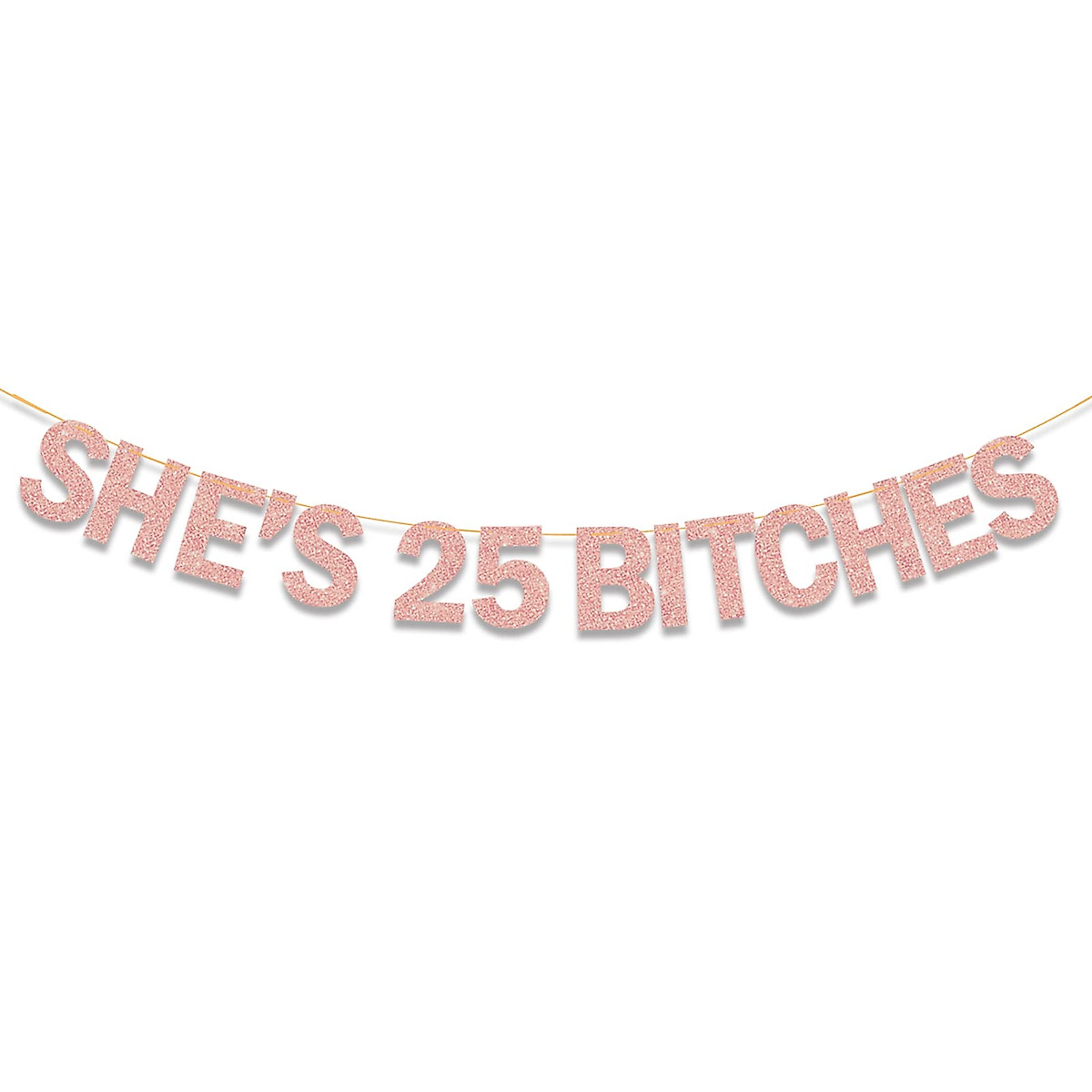 Ushinemi She's 25 Bitches Banner 25th Birthday Decorations for Women, Funny Glitter Rose Gold Birthday Banner 18 Birthday Party Supplies
