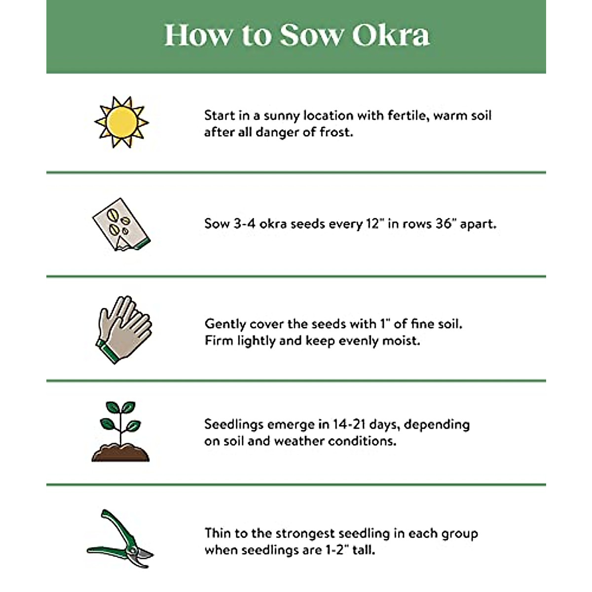 Burpee Baby Bubba Okra Seeds 60 seeds