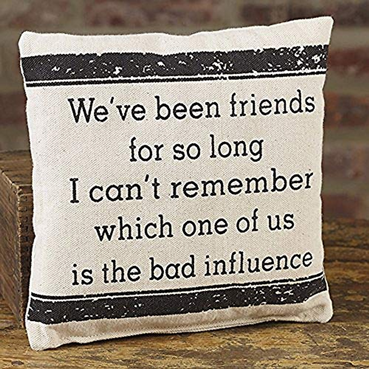 Friends So Long Bad Influence 8 x 8 Canvas Decorative Throw Pillow