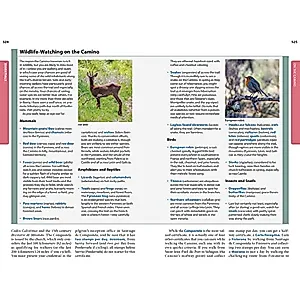 Moon Camino de Santiago: Sacred Sites, Historic Villages, Local Food & Wine (Travel Guide)