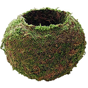 Moss Ball Flower Pot Natural Planter Bonsai Plant Holder Bird Nest for DIY Gardening Home Table Decoration - 12cm