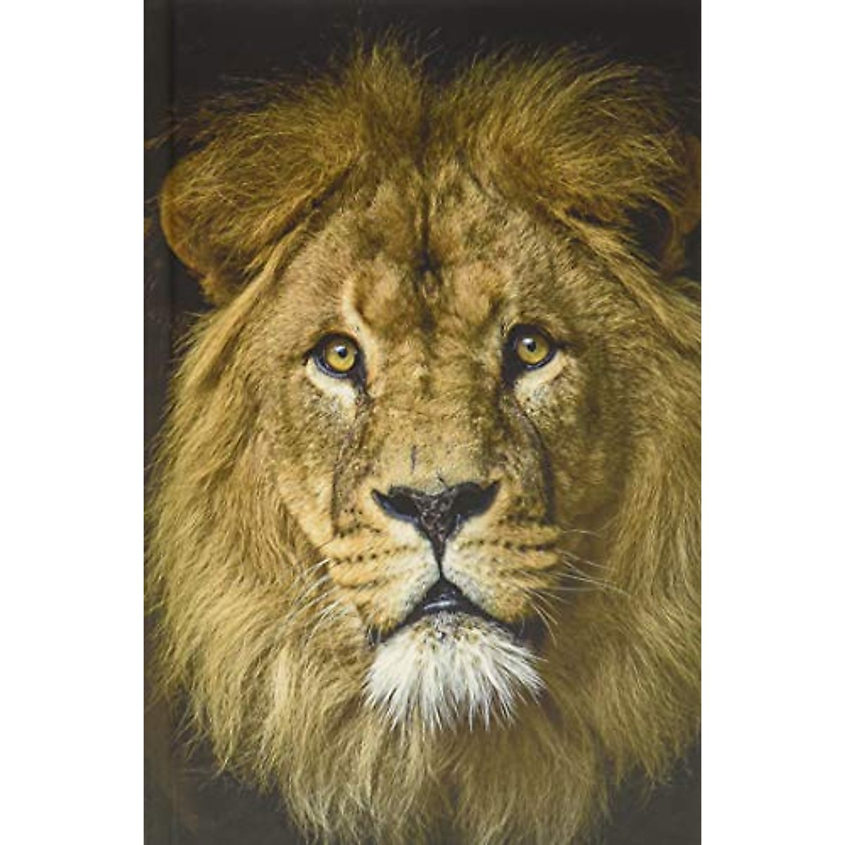 Do It Afraid: Embracing Courage in the Face of Fear
