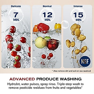 FOTILE SD2F-P5 3-in-1 In-Sink Dishwasher & Kitchen Sink Combo with 360° Cleaning, Produce Wash, Child Lock, Energy Efficient for Space-Saving Hygienic Kitchen Solutions (Dishwasher on the Right)