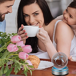 IFOLAINA 3D Dolphin Crystal Ball Night Lights Exquisite Crystal Dolphin Figurines for Bedroom Decor Perfect Dolphin Gifts and Collectibles Dolphin Lovers Gifts for Her Birthday Mothers Day