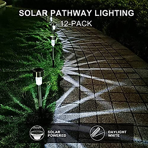 Dream Master Solar Lights Outdoor, Stainless Steel LED Landscape Lighting Solar Powered Outdoor Lights Solar Garden Lights for Pathway, Walkway, Patio, Yard, Lawn - 12 Pack
