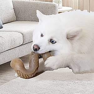 Pssopp Indestructible Dog Toys, Interactive Rubber Dog Chew Toy Strong Tug Toy for Dog Dental Care Teeth Cleaning