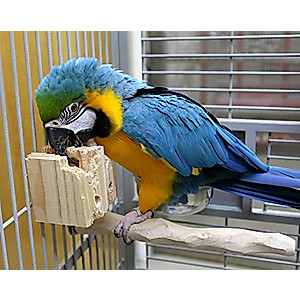 Natural Foraging Box Toy for Parrots (Tough Guy Foraging Box)