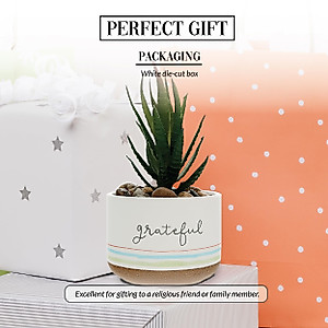 Pavilion Gift Company - Grateful - Artificial Plant with Stones, Mini Fake Aloe Plant, 1 Count (Pack of 1), 3.5” x 3.5” x 6.25” Overall in Size