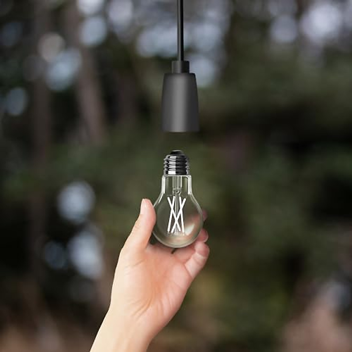 Feit Electric LED Built-in Dusk to Dawn Sensor Intellibulb - Clear Filament A19 with an E26 Medium Base Light Bulb - 60W Equivalent - 15 Year Life - 800 Lumen - 5000K Daylight