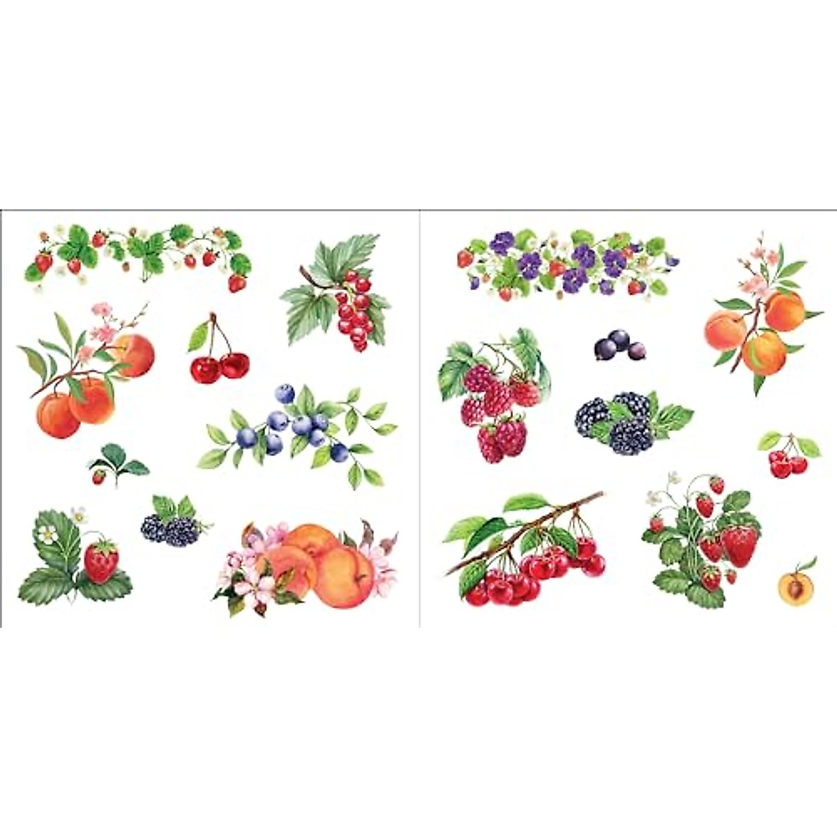 Bunches of Botanicals Sticker Book (Over 500 stickers!)