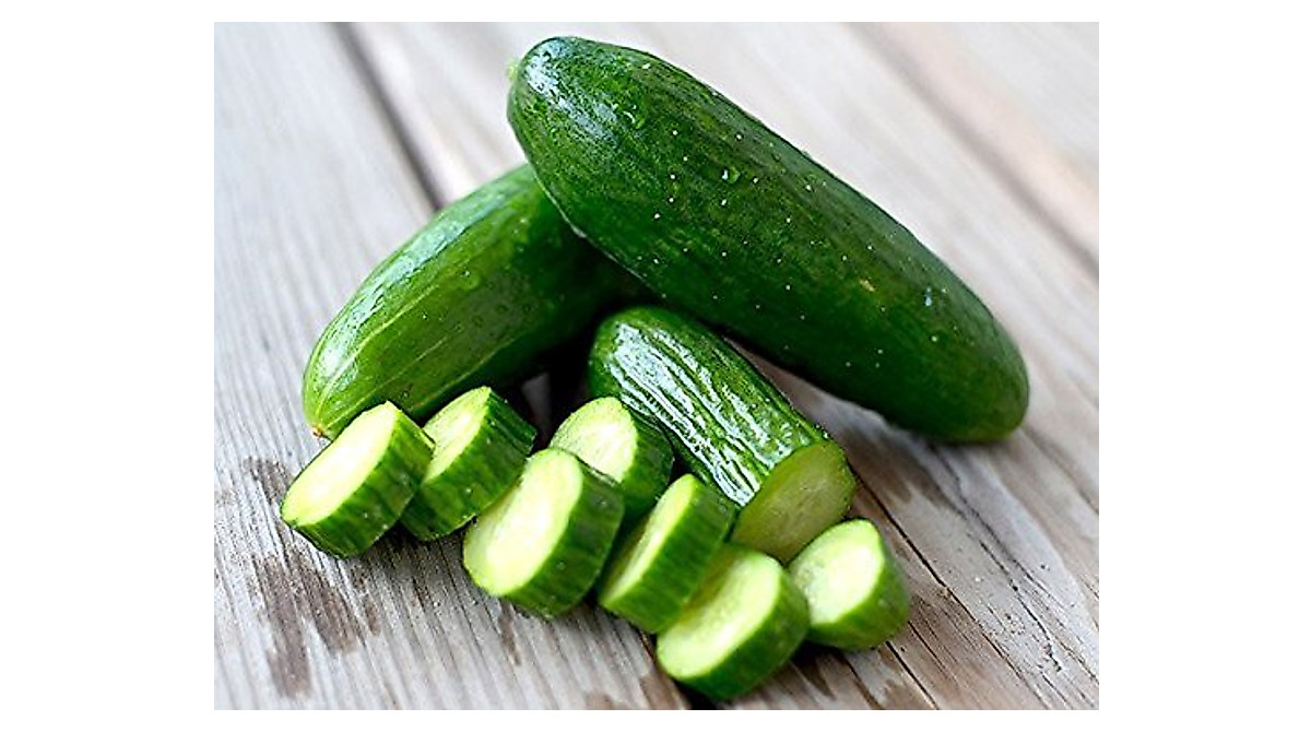 30+ Persian Beit Alpha (A.k.a. Lebanese) Cucumber Seeds Heirloom NON ...