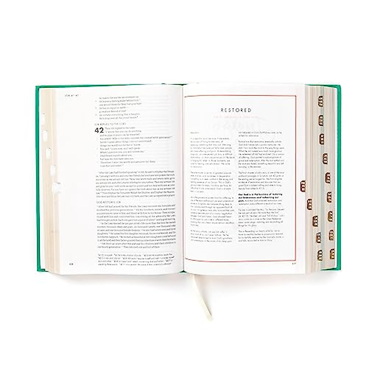 CSB She Reads Truth Bible, Emerald Cloth Over Board, Indexed, Limited Edition, Black Letter, Full-Color Design, Wide Margins, Journaling Space, Devotionals, Reading Plan, Easy-to-Read Serif Type
