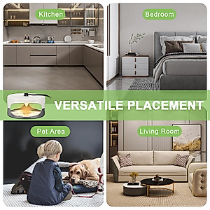 KILSACO Flea Trap for Inside Your Home 2 Packs - Premium Electric Flea Traps, Natural and Child-Friendly Indoor Flea Control for Home & Garage with 5 Glue Disc Refills and 5 Lightbulbs