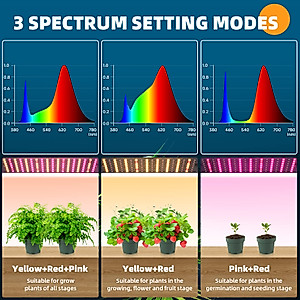 Barrina Ultra-Thin Grow Lights for Indoor Plants, 40W (4 x 10W) Full Spectrum LED Grow Light Panel with 3/6/12H Auto On/Off Timer, 3 Spectrum Modes, 7 Dimmable Levels for Seedlings, Greenhouse, 4-Pack