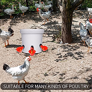erduoduo 24 Packs Poultry Drinking Watering Cups for Chicken/Quail Water Cups Drinker Automatic Farm