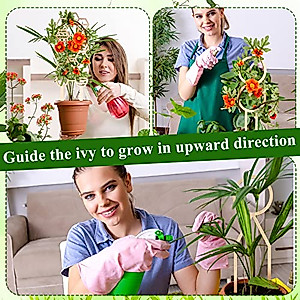 6 Pcs Wooden Small Indoor Trellis Potted Climbing Plants Hexagon Trellis Honeycomb Outdoor Garden Plant Lattice Moon Wooden Pot Trellis for Vine Flower Stem Training Support Pole Accessories, 6 Shapes