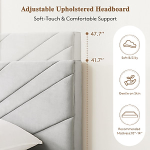 Zeelovtress Queen Size Upholstered Bed Frame with Adjustable Headboard, Velvet Platform Bed, Tufted Bedframe Mattress Foundation with Strong Wooden Slats, Easy Assembly, Light Grey
