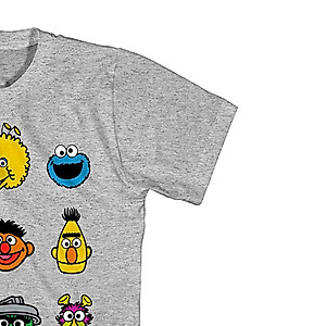 Sesame Street Mens Classic Shirt Elmo Cookie Monster Big Bird Tee T-Shirt (Heather Grey, X-Large)