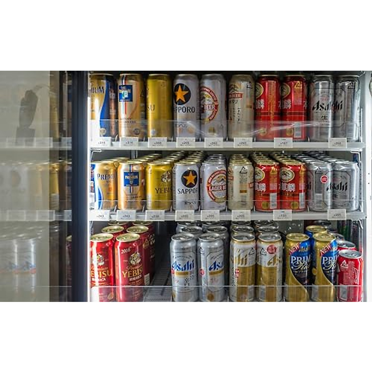 Elite Kitchen Supply Commercial Beer Back Bar Cooler Refrigerator, ETL NSF 2 Glass Door Bottle Display Fridge Cooler Merchandiser, LED Lighting, 60" W 15.8 cu.ft. Black CBB60H