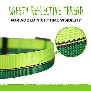 Mighty Paw Reflective Dog Collar | Premium High Visibility Collar with Reflective Stitching. Weatherproof, Heavy Duty Hardware, Stylish Colors and Design. Perfect for Small and Large Pets (Green)