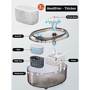 WOPET Cat Water Fountain, 2.1L Cat Water Dispenser with BPA-Free, Translucent Water Tank, Ultra Quiet Water Fountain for Cats Inside, Pet Water Fountain for Cats, Small Dogs