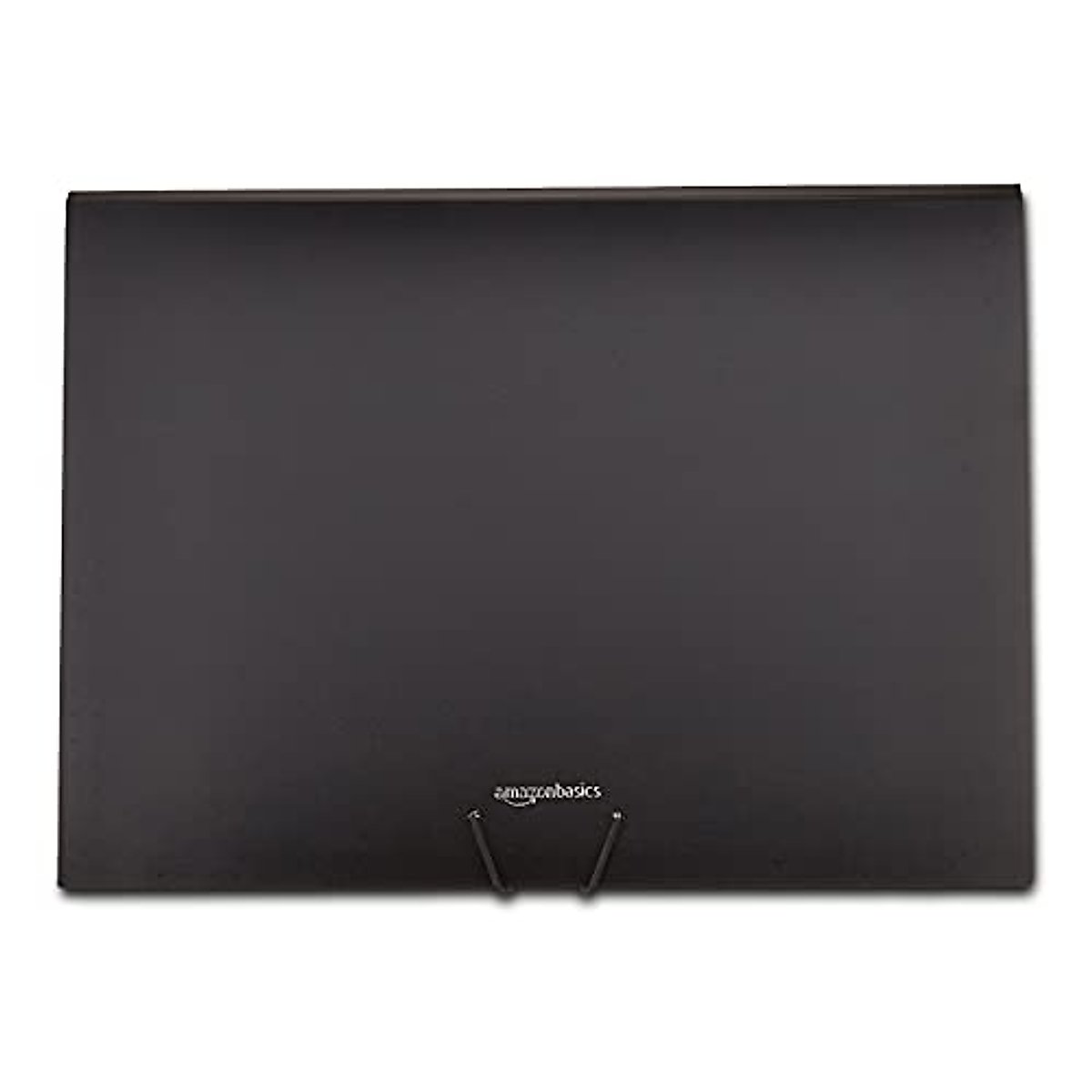 Amazon Basics Expanding Organizer File Folder, Letter Size - Black, 1-Pack