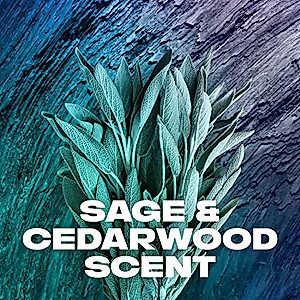 AXE Apollo Deodorant Spray 48 Hour Odor Protection Fresh Sage and Cedarwood Deodorant without Aluminum and without Residue, 4 Ounce (Pack of 4)